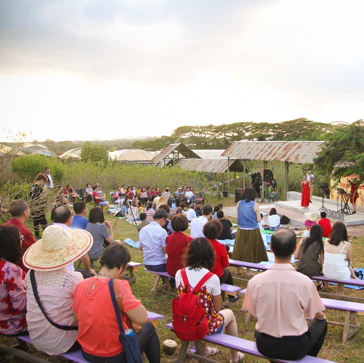 Chinese Jazz Sunset Concert 2019 – Zenxin Organic Park