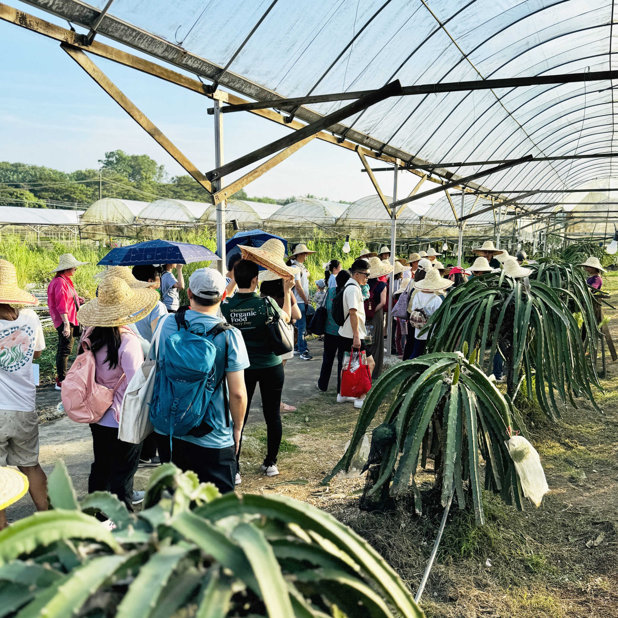 ZENXIN Tropical Farm Tour – Zenxin Organic Park
